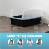 Iris Usa Extra Large Open Top Cat Litter Box With Scatter Shield ...