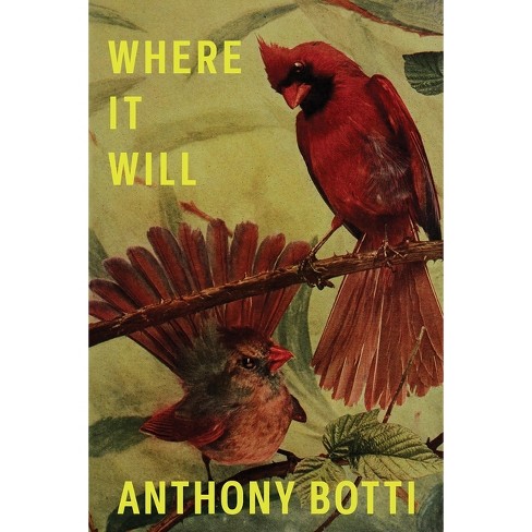 Where It Will - By Anthony Botti (paperback) : Target