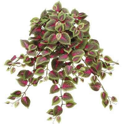 Allstate Floral 20" Mini Coleus Artificial Hanging Bush : Target