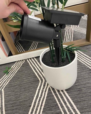 Short Solar Led Outdoor Spot Light Matte Black - Room Essentials™ : Target