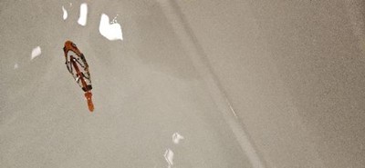 Robo Fish Robotic Swimming Pets Fish Tank Playset By Zuru : Target