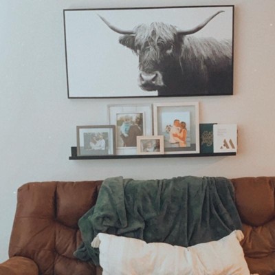 47" X 24" Highland Cow Framed Canvas - Threshold™ : Target