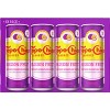 Topo Chico Sabores Passion Fruit Flavored Water - 8pk/12 fl oz : Target