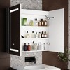 Famapy White Anti-fog Bathroom Medicine Cabinet With Lights And Two ...