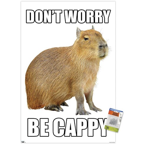 Trends International Capybara - Be Cappy Unframed Wall Poster Print ...