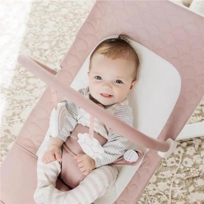 Baby Delight Alpine Deluxe Portable Bouncer : Target