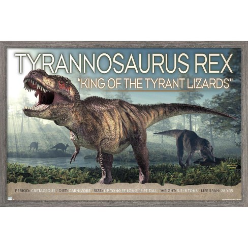 Trends International Dinosaurs - T-rex Framed Wall Poster Prints ...