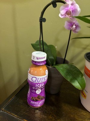 Quest Nutrition Iced Coffee - Mocha - 4pk : Target