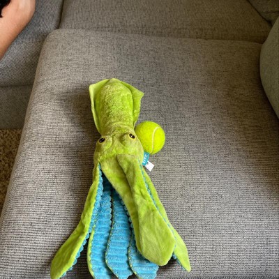 Bark Billy The Squid Dog Toy - Green : Target