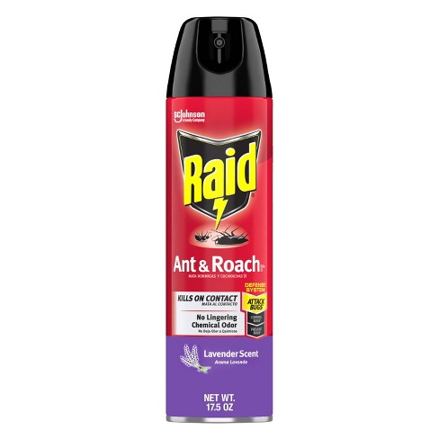 Raid Ant And Roach Killer Bug Spray - Lavender Scent - 17.5oz : Target