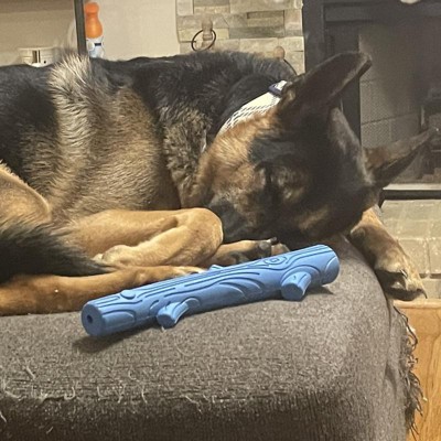 Long Rubber Stick With Crinkles Dog Toy - Blue - Boots & Barkley™ : Target