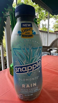 Snapple Elements Rain Agave Cactus Tea - 15.9 Fl Oz Bottle : Target