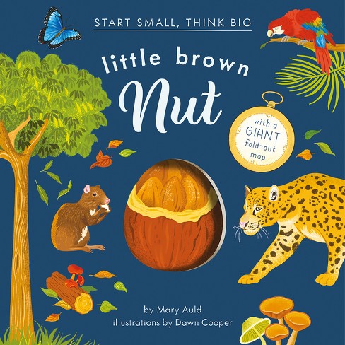 Little Brown Nut - (start Small, Think Big) By Mary Auld (hardcover ...