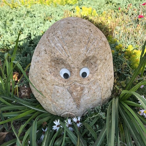 Tierra Garden Natural Granite 8" Boulder Angry Bird : Target