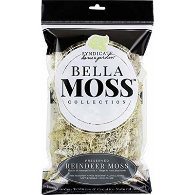 Bella Moss Preserved Reindeer Moss, Natural, 80 cu in. : Target