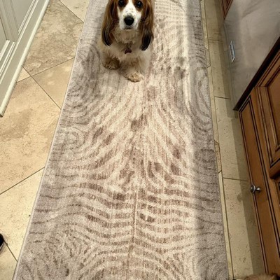 Zebra Stripe Woven Rug - Opalhouse™ : Target