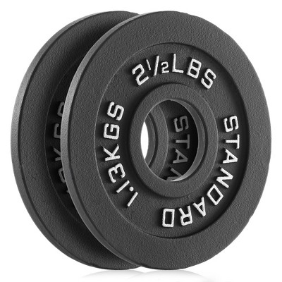 Philosophy Gym Set Of 2 Standard Cast Iron Olympic 2-inch Weight Plates ...