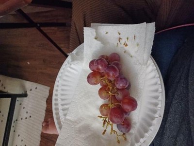 Extra Large Bi-color Seedless Grapes - 2lb : Target