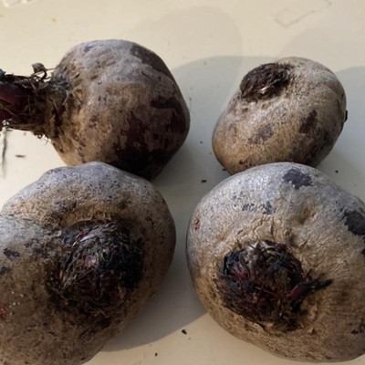 Beets - 1lb/3ct : Target