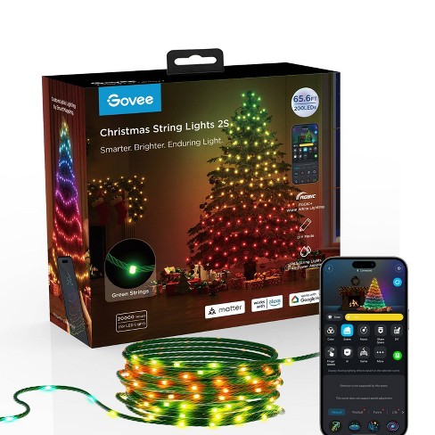 Govee 65.6ft Green Christmas String Lights : Target