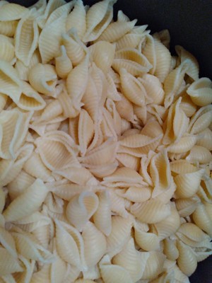 Barilla Medium Shells Pasta - 16oz : Target