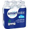 Smartwater Bottles - 6pk/16.9 Fl Oz : Target