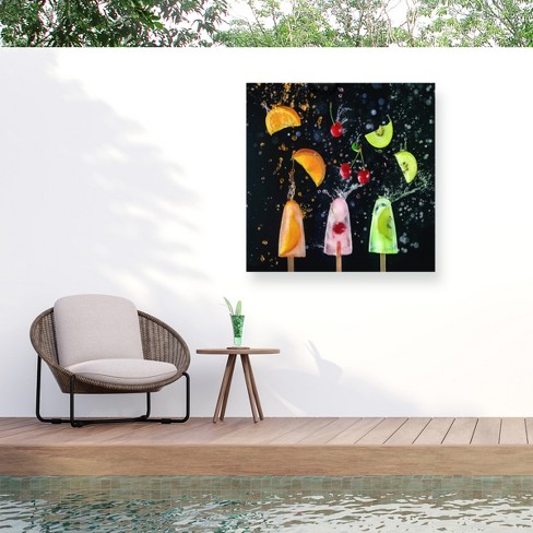 Dina Belenko Action Popsicle Collection Outdoor Canvas Art : Target
