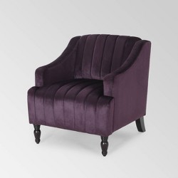 Akira New Velvet Club Chair - Christopher Knight Home : Target