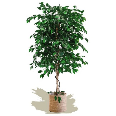 Nearly Natural 5.5’ Ficus Tree W/bamboo Planter : Target