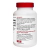 Magnesium Dietary Supplement Tablets - 250ct - Up & Up™ : Target