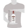 Smirnoff Vodka - 750ml Plastic Bottle : Target
