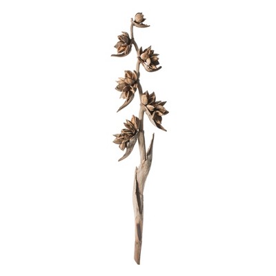 Vickerman 5-6' Star Pod Stalk, Dried : Target