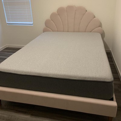 Queen Odille Velvet Seashell Shaped Platform Bed Light Pink/walnut ...