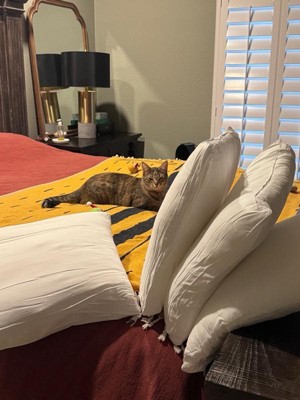 Pack Of 4 Indoor/outdoor Cushions Soft Breathable Decorative Throw ...