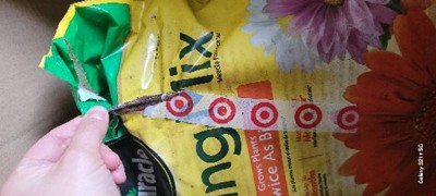 Miracle-gro Premium Potting Mix 8qt : Target