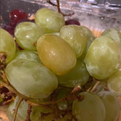Extra Large Bi-color Seedless Grapes - 2lb : Target