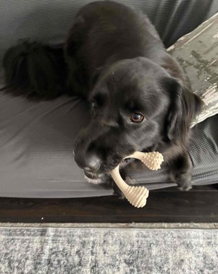 Betterbone Soft Beef Nylon Free Dog Bone Chew Toy - S : Target