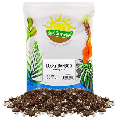 Soil Sunrise Lucky Bamboo Plant Potting Mix (4 Quarts) Custom Soil Mix ...