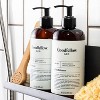 Moroccan Mint & Cedar Conditioner - 16oz - Goodfellow & Co™ : Target