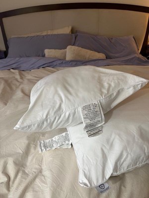 Standard Medium 2pk Machine Washable Total Allergy Defense Pillow White - Allerease : Target