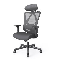 Oscar High Back Ergonomic Mesh Office Chair Black - X Rocker : Target