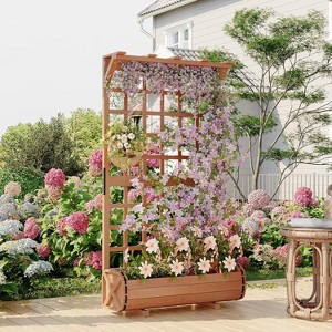 Wood Raised Garden Bed with Trellis & Roof, Elevated Outdoor Planter ...
