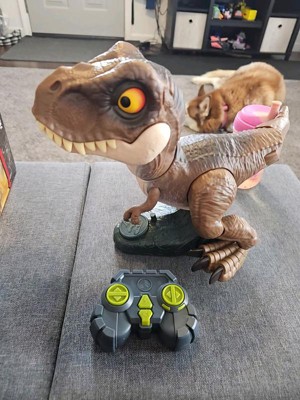 Jurassic World Roarin' Frenzy T. Rex Rc Vehicle : Target