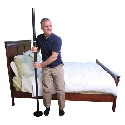 Stander Security Pole - Metallic Black : Target