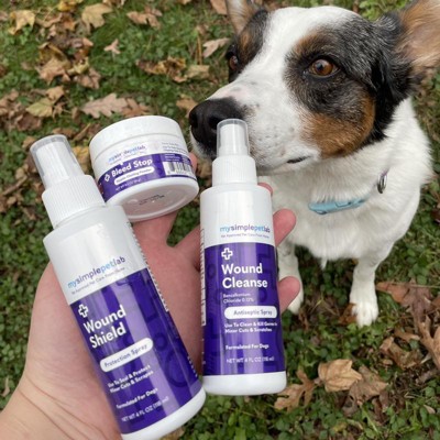 Mysimplepetlab Dog First Aid : Target