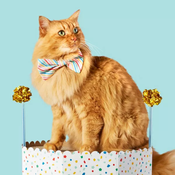 Top Pet Gifts at Target : Toys, Treats & More