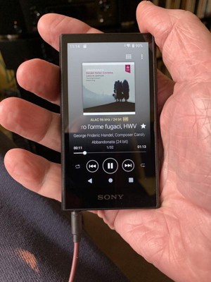 Sony Nw-a306 Walkman A Series Hi-res Digital Music Player With Wifi ...