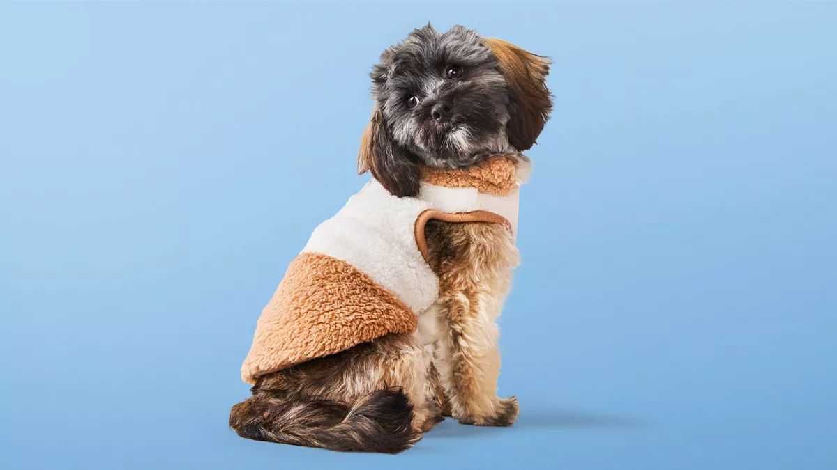 Dog Supplies : Target