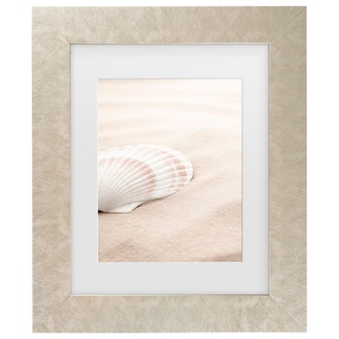 Trademark Fine Art - Pictufy Studio Shell 3 Matted Framed Art - 16x20 ...