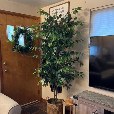 72" Artificial Ficus Tree In Basket - Lcg Florals : Target